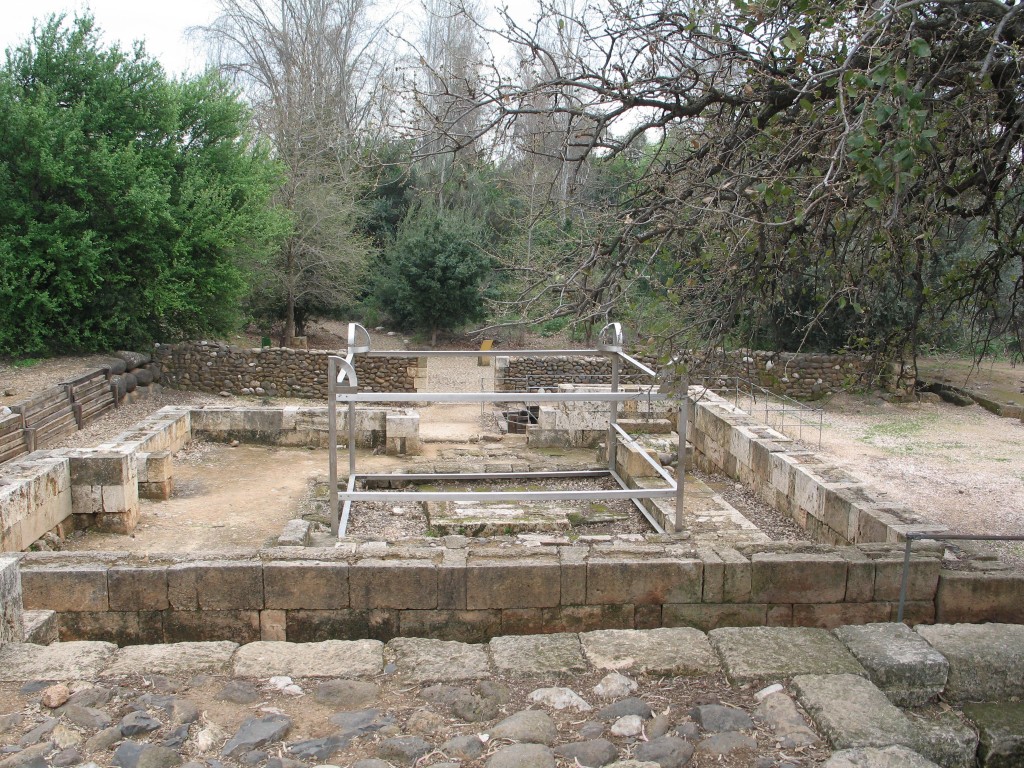 Israel Trips Tel Dan ruins