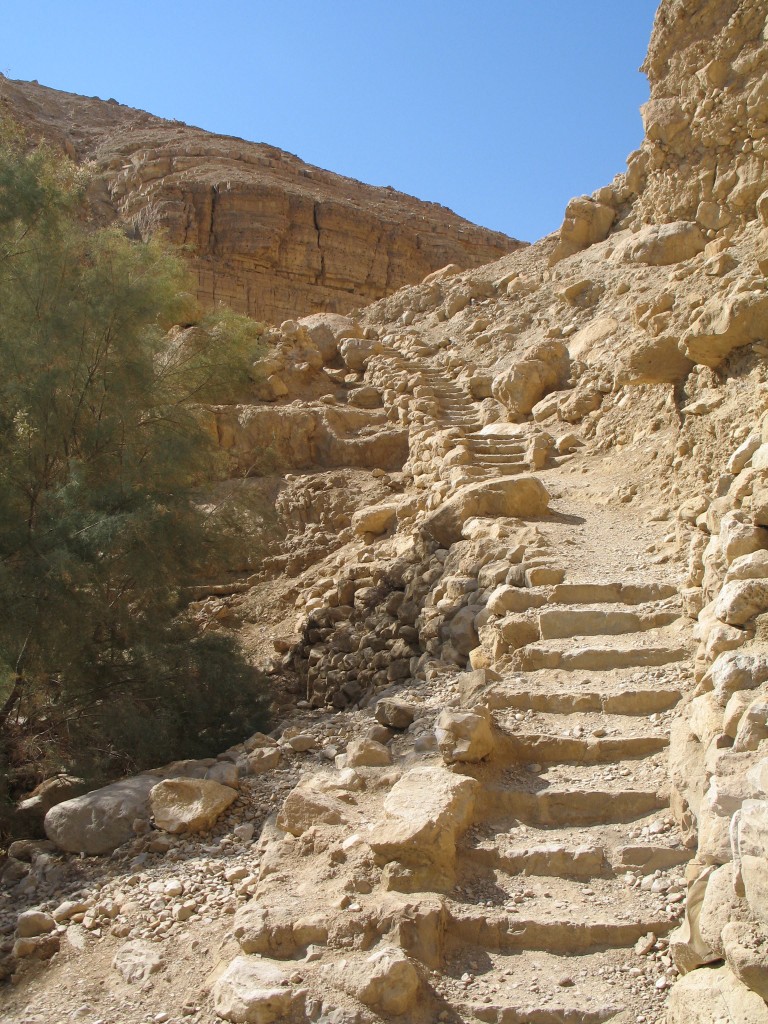 Travel In Israel En Gedi trail